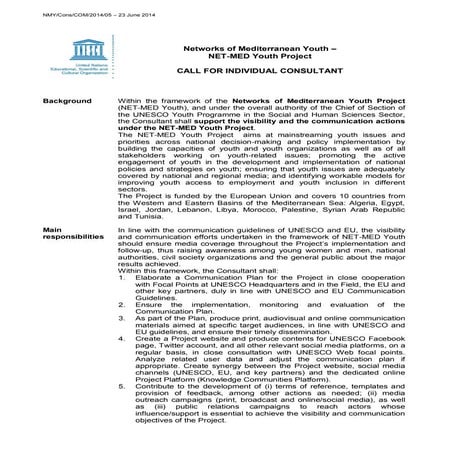 Call for consultant unesco | PDF
