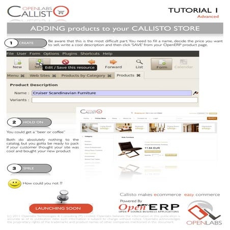 Callisto Information Brochure 1 | PDF