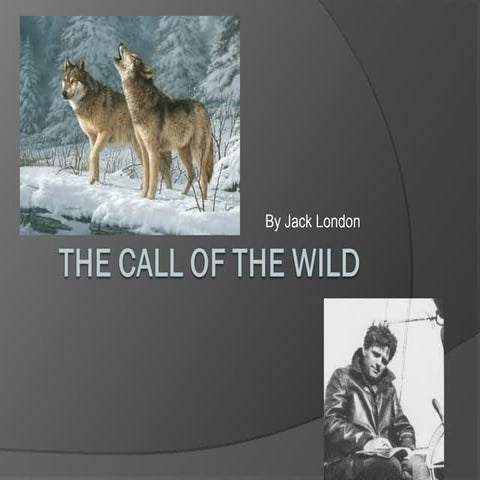 Call of the Wild presentation on the novel | PPT