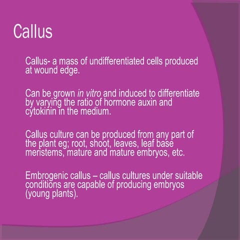 Callus | PPT