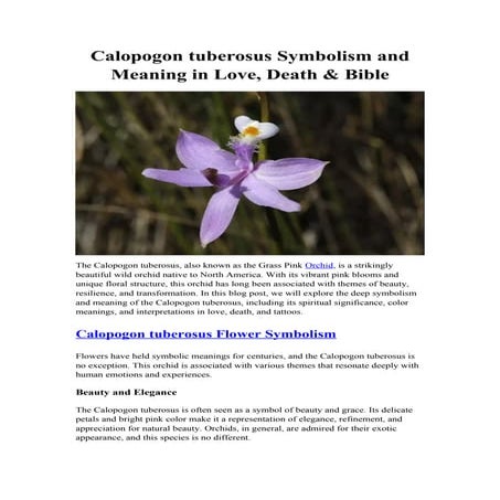 Calopogon tuberosus Symbolism and Meaning in Love, Death & Bible.docx