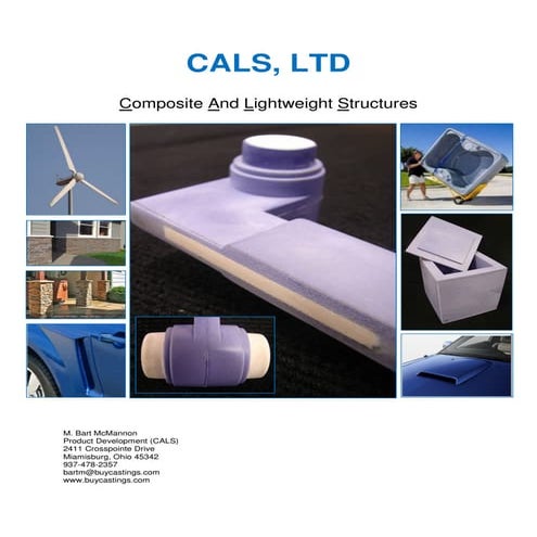Cals ltd business plan | PDF