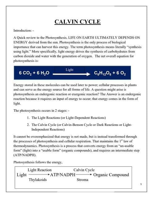 Light independent reactions of photosynthesis | PPTX