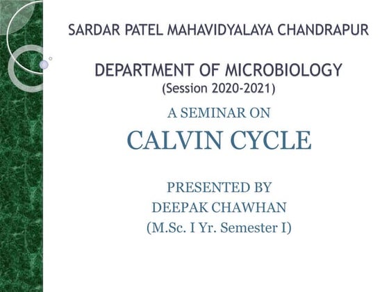 Light independent reactions of photosynthesis | PPTX | Chemistry | Science