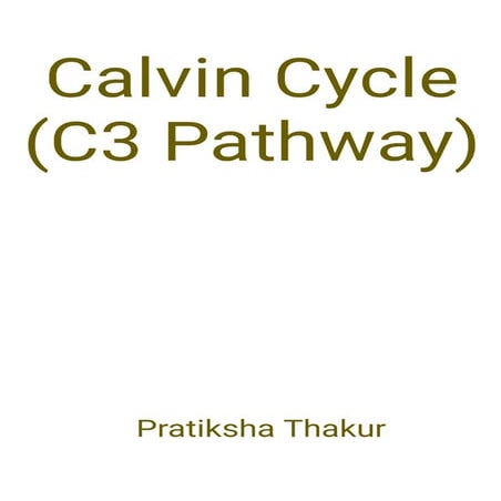 Calvin Cycle (C3 Pathway) | PDF