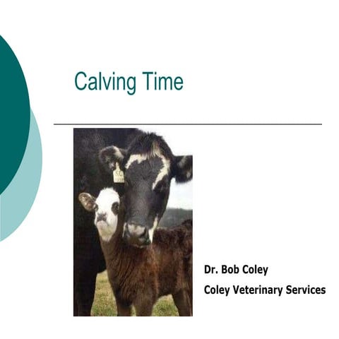 Calving time grainger co_2010 | PPTX