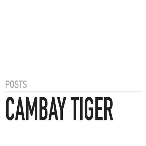 CAMBAY TIGER | PPT