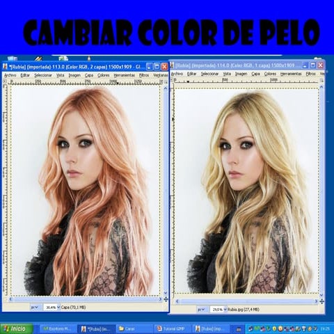 Cambio del color de pelo | PPS