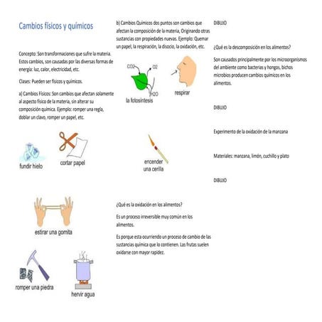 Cambios físicos y químicos de la materia | DOCX