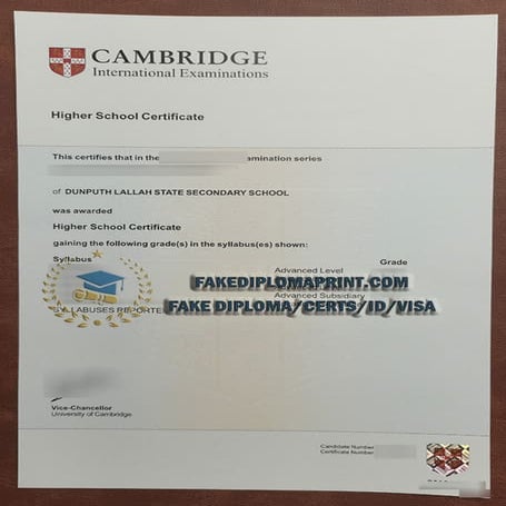 Cambridge Higher School certificate.pdf