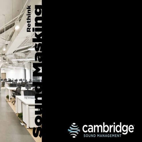 Cambridge Sound Masking White Noise Review | PDF
