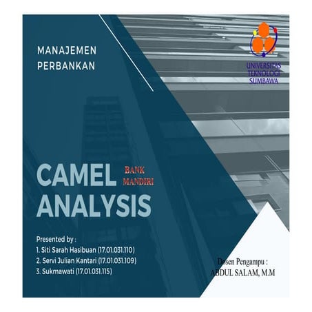 Camel analysis i | PDF
