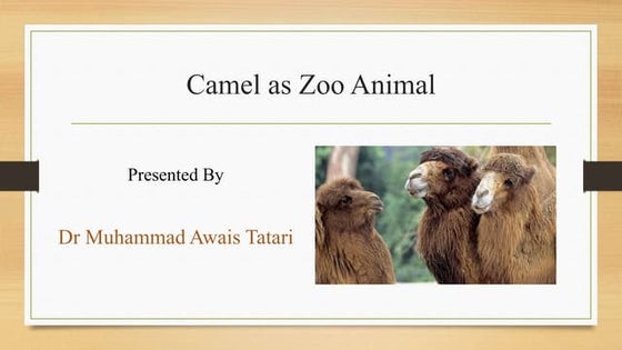 Camel adaptation.pptx