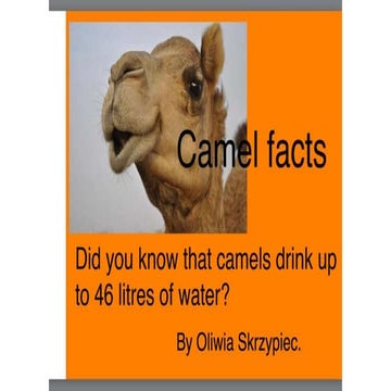 Camel book OS | PPTX | Books and Literature