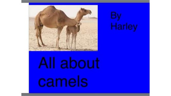 Camel book OS | PPTX
