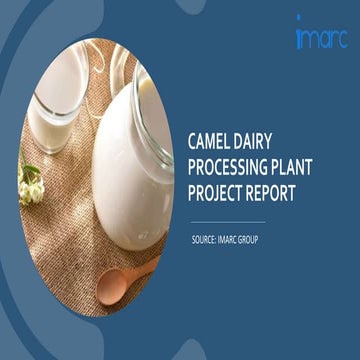 Detailed Project Report on Camel Dairy Processing Unit Setup | PPT