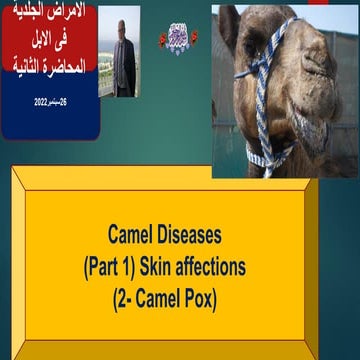 Camel Disease 1- Skin Affections(2- Camel Pox) Prof. Dr Hamed Attia.pdf