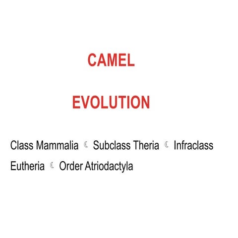Evolutionary history of camels | PPTX