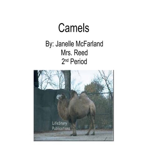 Camel’s digestive anatomy and physiology..pptx