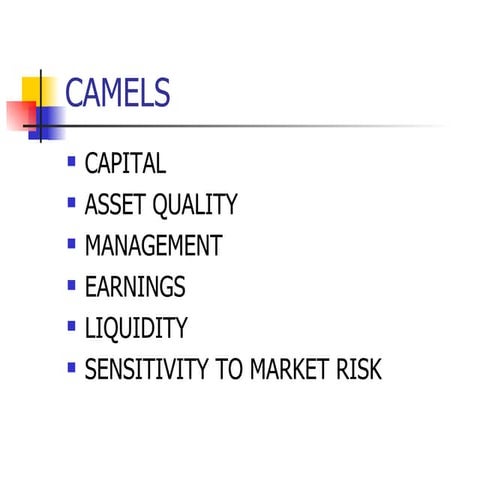 Camels rating | PPT