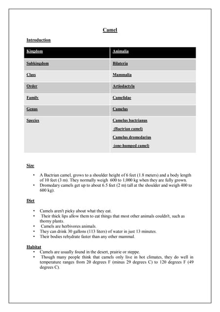 Camel’s digestive anatomy and physiology..pptx
