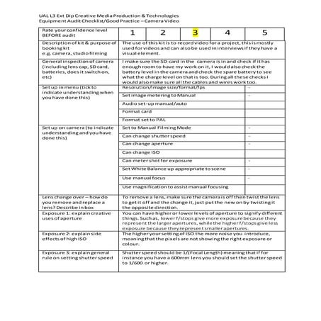 Camera audit form blank | PDF