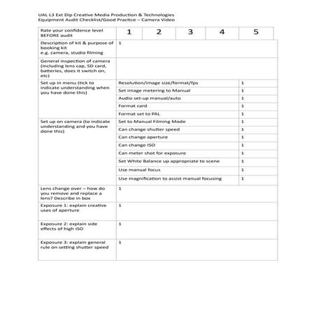 Camera audit form blank | PDF