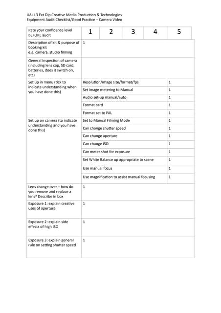 Camera Audit Form Blank.docx