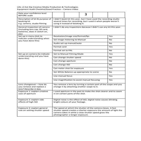 Camera Audit Form Blank.docx