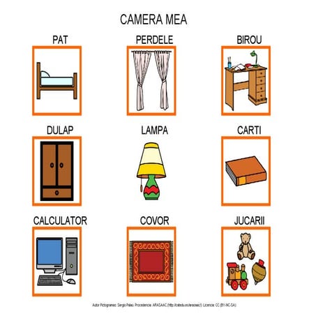 Camera mea | PDF