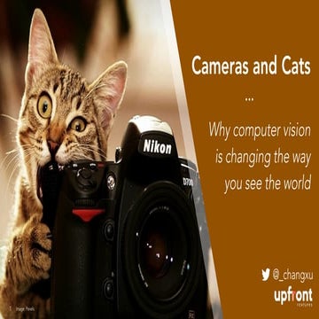 Cameras and Cats - Why Computer Vision is Changing the Way You See the ...