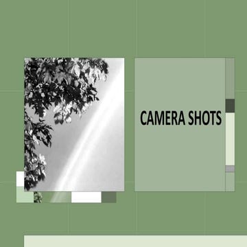 CAMERA SHOTS.pptx