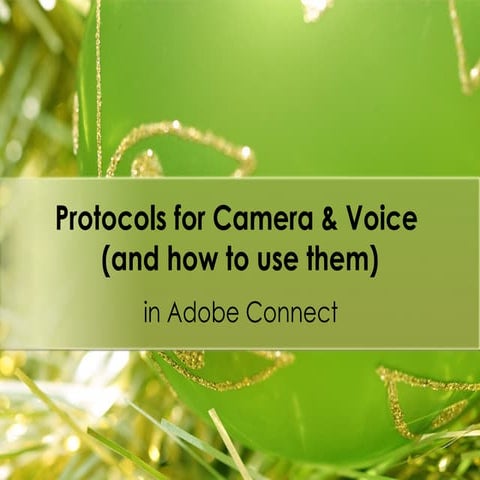 Camera Voice Protocols Ppt