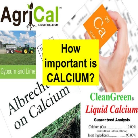 Calcium cycle | PPT
