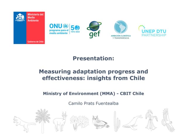 Presentation Measuring Progress In Implementing National Adaptation Policies Camilo Prats Ppt