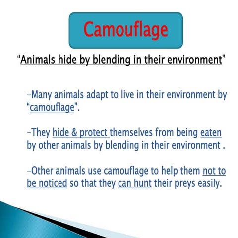Camouflage and wetland adaptation | PPTX
