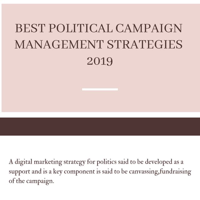 Political Campaign strategies 2019 | PDF