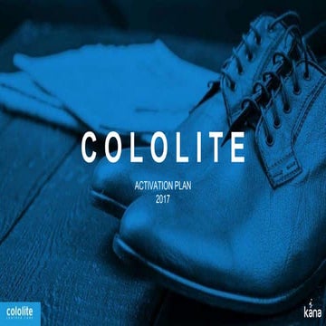 Content Plan 2017_Cololite Leather Care | PPTX