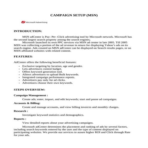 Campaign setup in msn | PDF