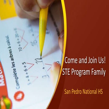 Campaign_STE-Program_ComprehensiveInfographics.pptx