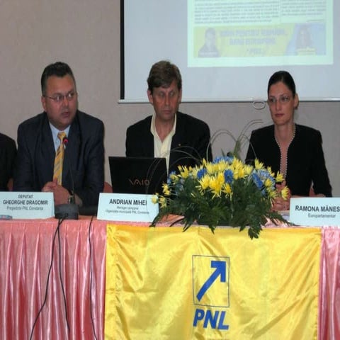 Ramona Manescu - Campanie Braila | PPT