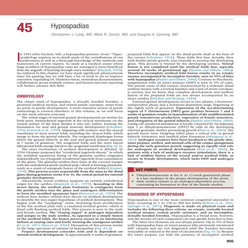 Campbell hypospadia | PDF | Reproductive Health | Diseases and Conditions