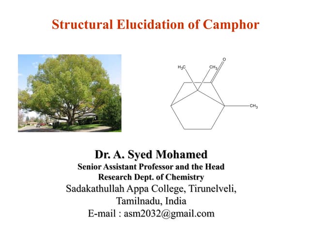 Structural elucidation of quercetin | PPTX | Chemistry | Science