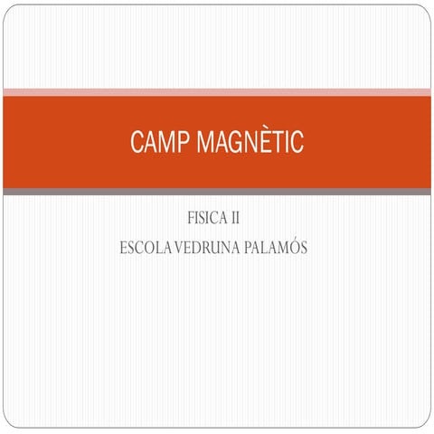 Camp magnètic | PDF
