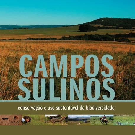 Campos sulinos | PDF