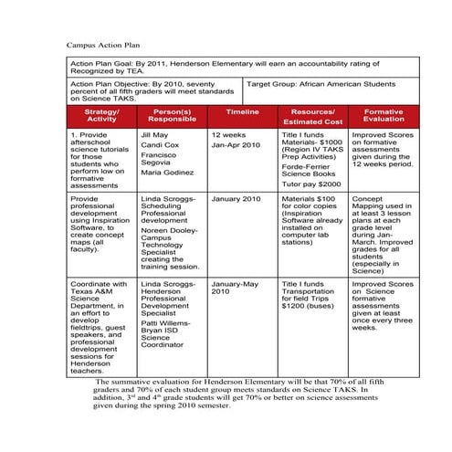 stem action plan.docx