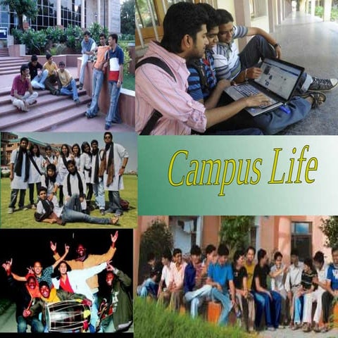Campus life | PPT