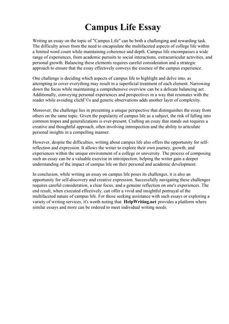 200 Word Essay Example | PDF