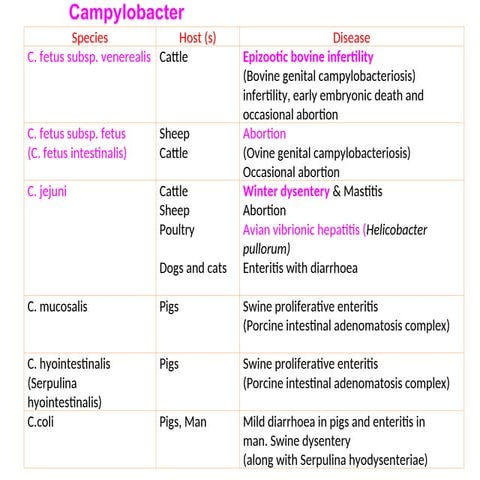 Bacteriology bacteria. .Campylobacter.ppt