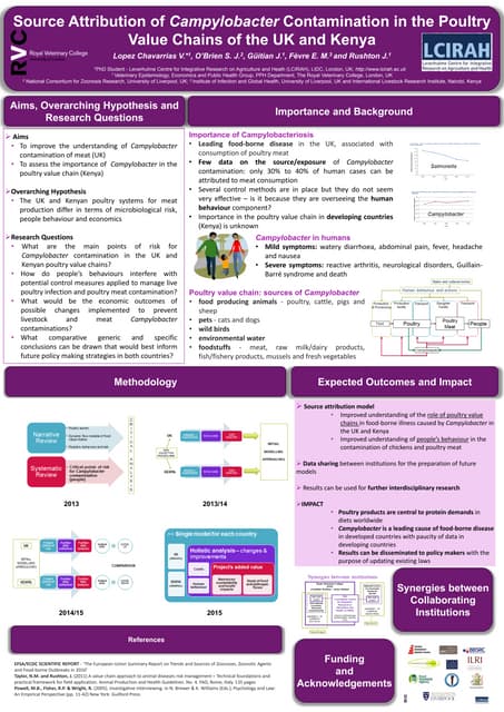 Hepatitis C Infographic | PDF